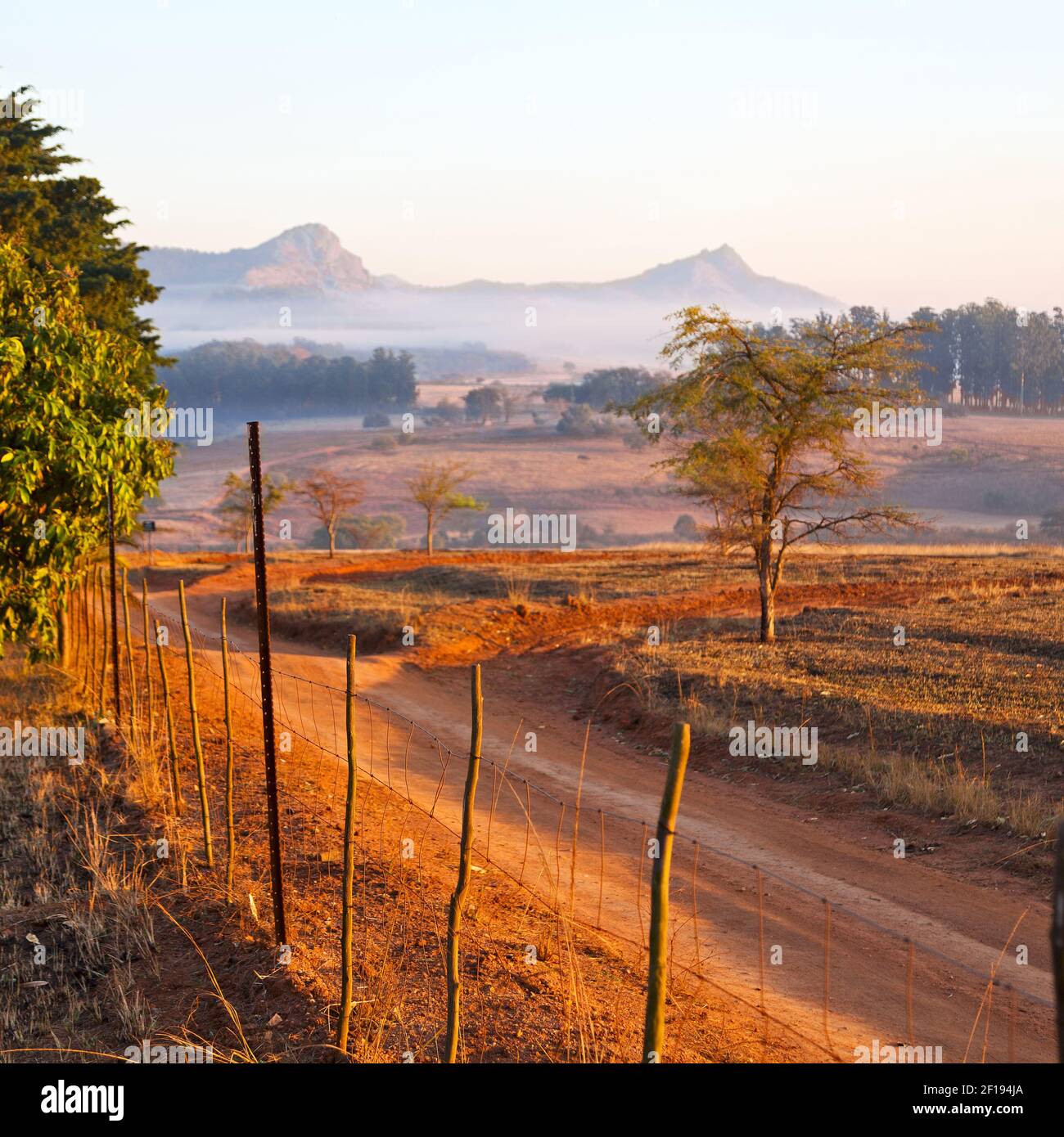 Blur in swaziland mlilwane wildlife hi-res stock photography and images ...
