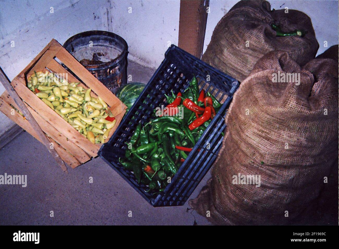 KRT TRAVEL STORY SLUGGED: UST-FOODTRAILS-CHILE KRT PHOTOGRAPH BY AMY ...