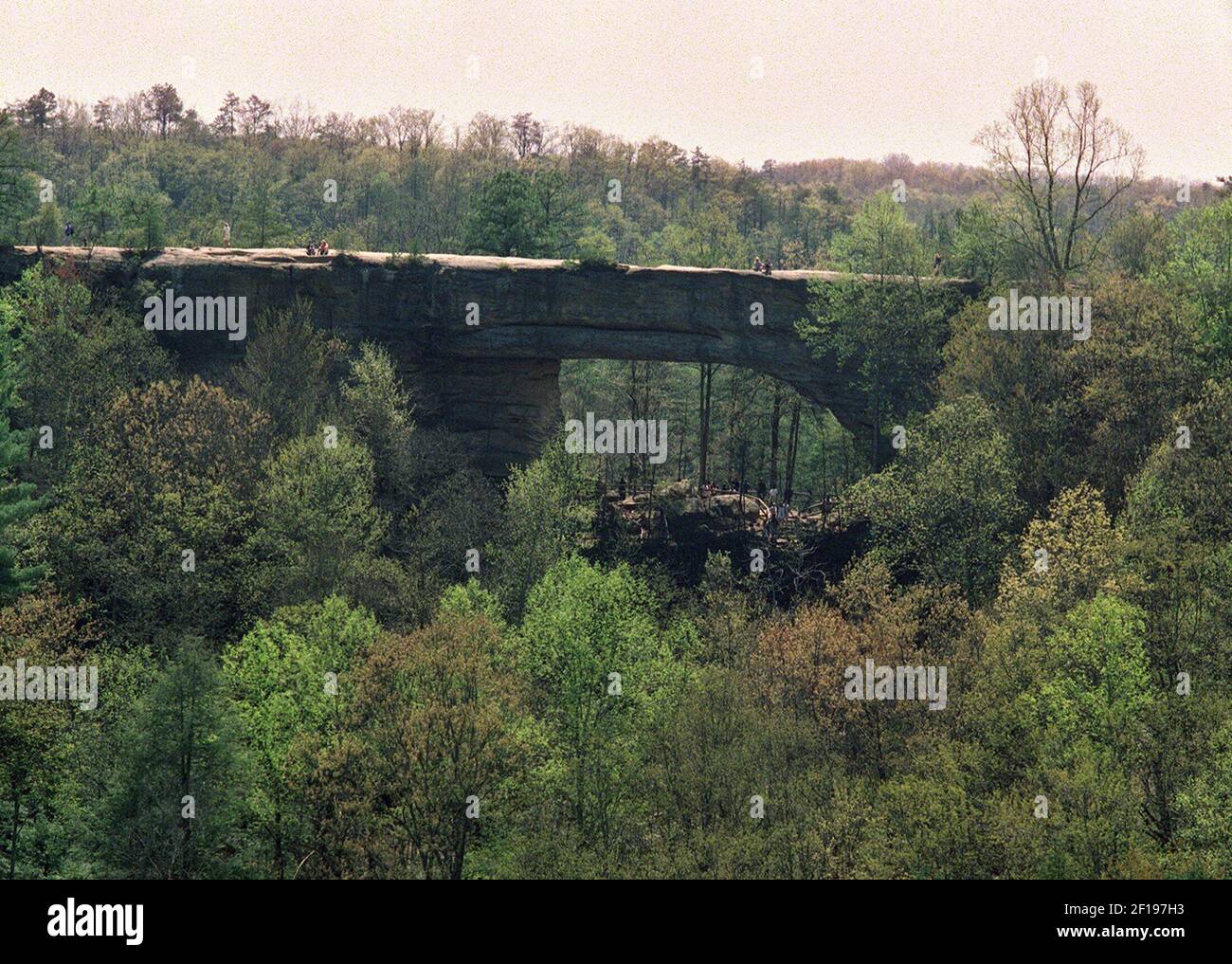 KRT TRAVEL STORY SLUGGED: UST-NATURALBRIDGE KRT PHOTO BY BOB DOWNING ...