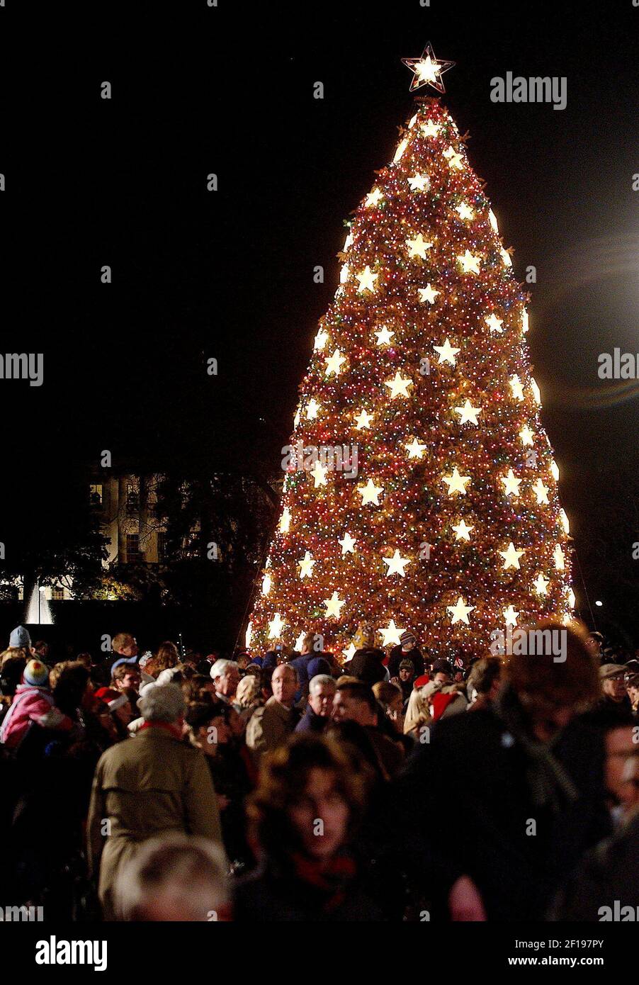 Abaca tree hi-res stock photography and images - Alamy