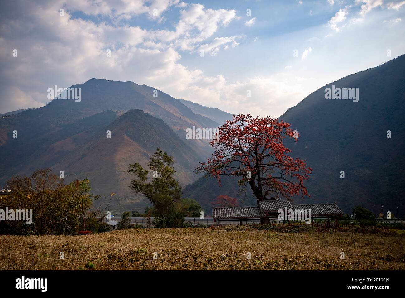 Gongshan. 5th Mar, 2021. Photo taken on March 5, 2021 shows the secnery ...