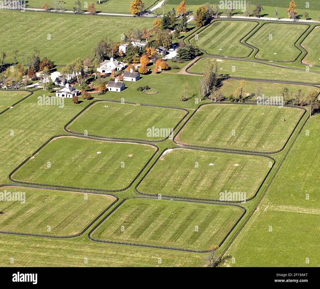 KRT SPORTS STORY SLUGGED: RAC-SMARTYJONES-SPORTSPLUS KRT PHOTOGRAPH BY ...