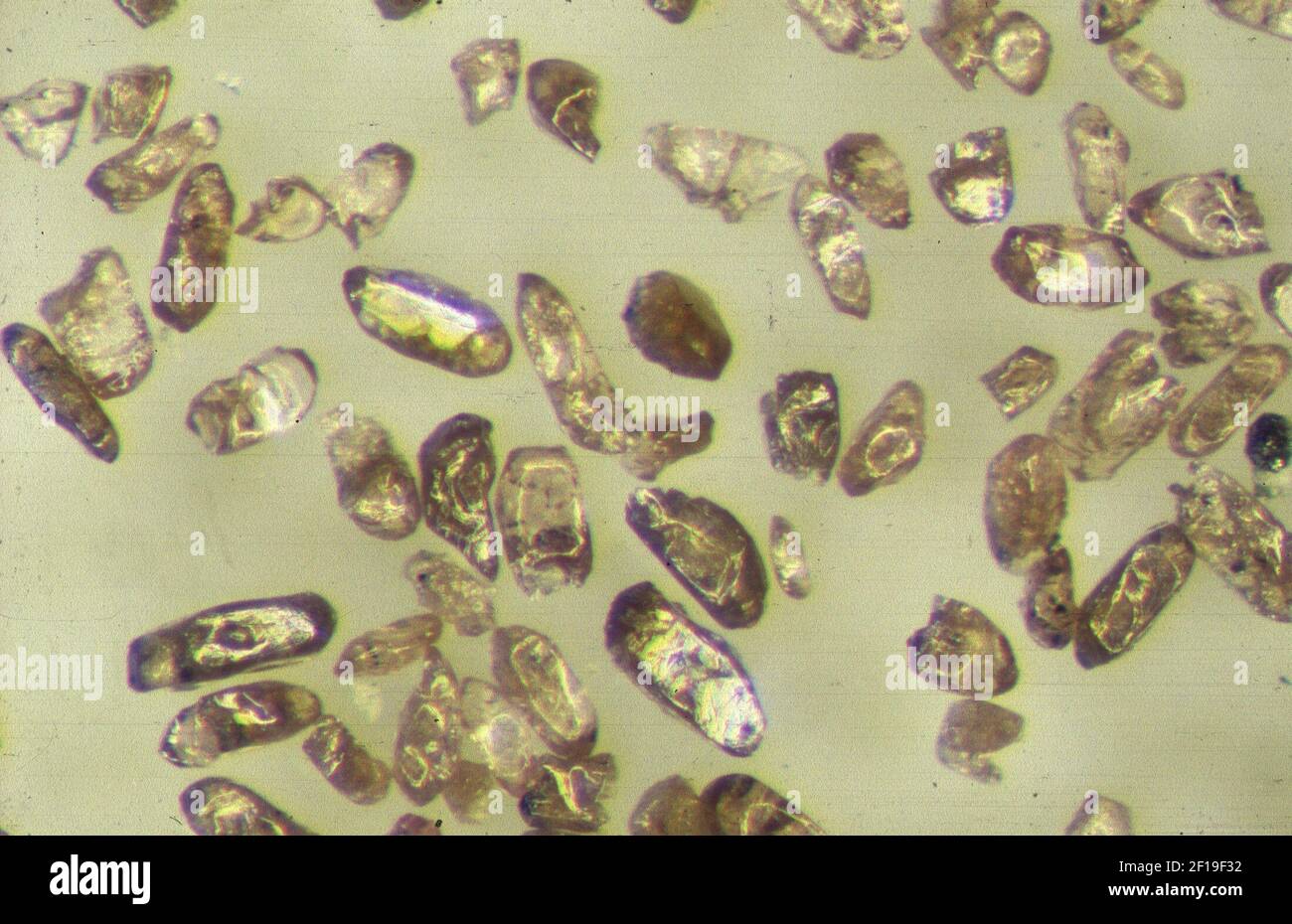KRT US NEWS STORY SLUGGED: SCI-ZIRCON KRT PHOTOGRAPH BY MINIK ROSING ...