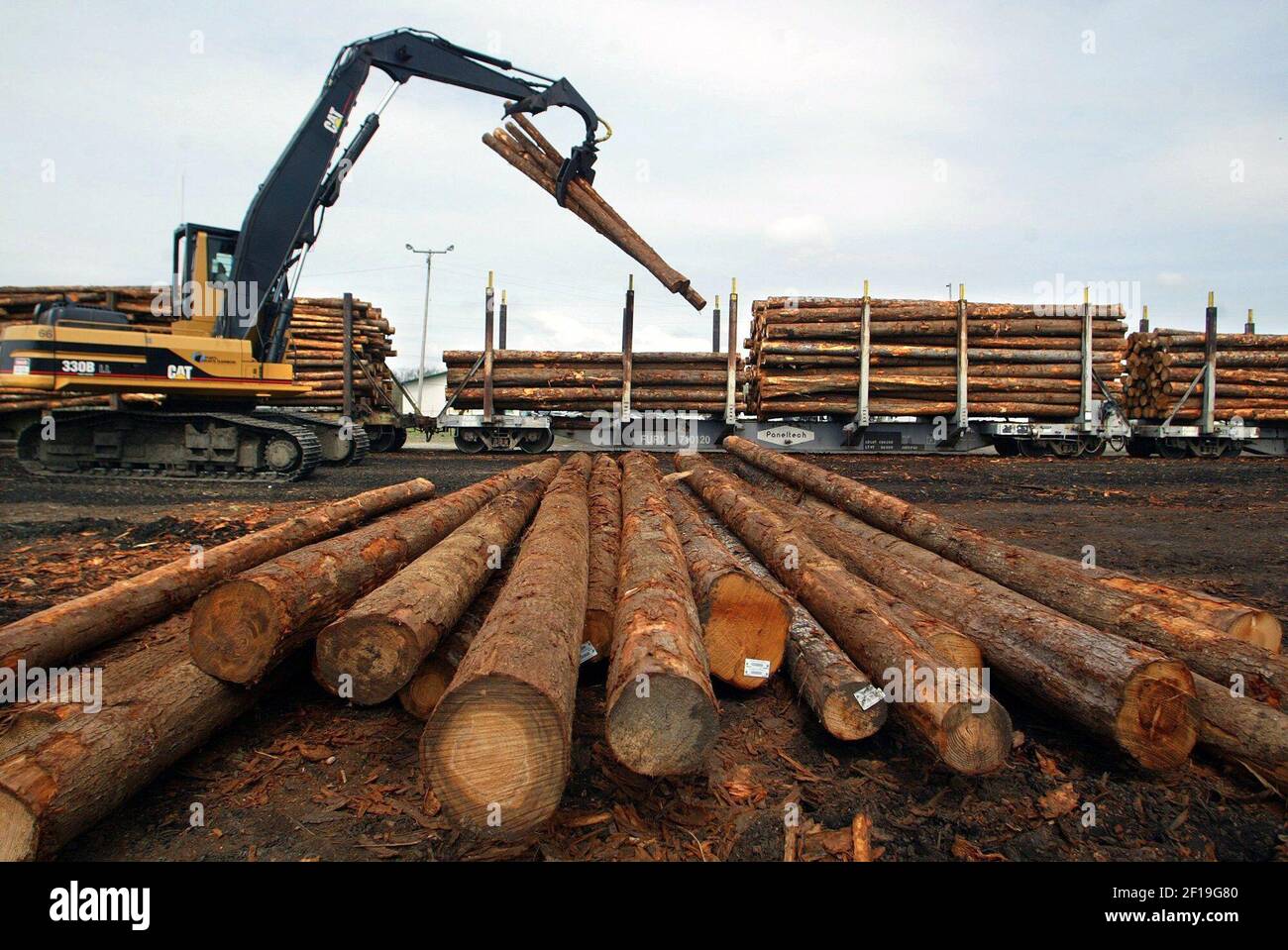 -- NO MAGS, NO SALES -- KRT US NEWS STORY SLUGGED: ENV-LOGGING KRT ...