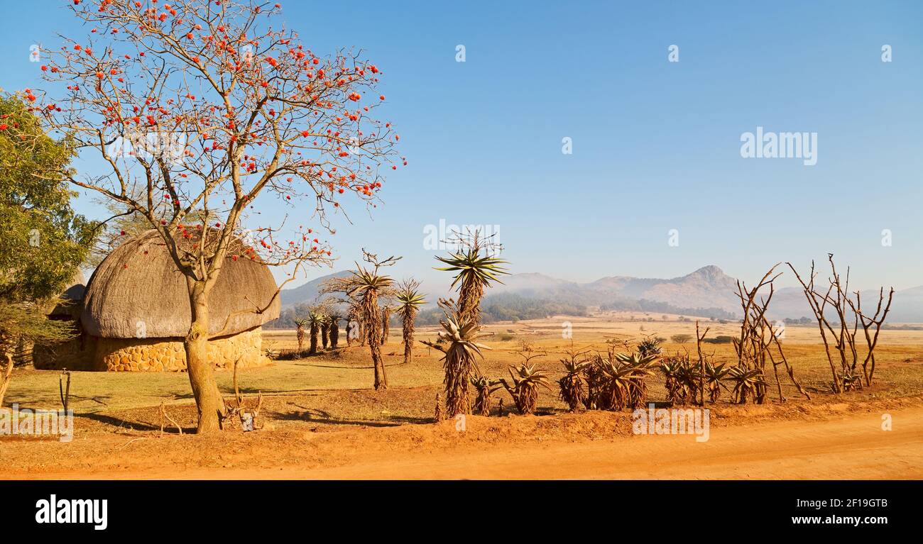 In swaziland wildlife nature reserve Stock Photo - Alamy