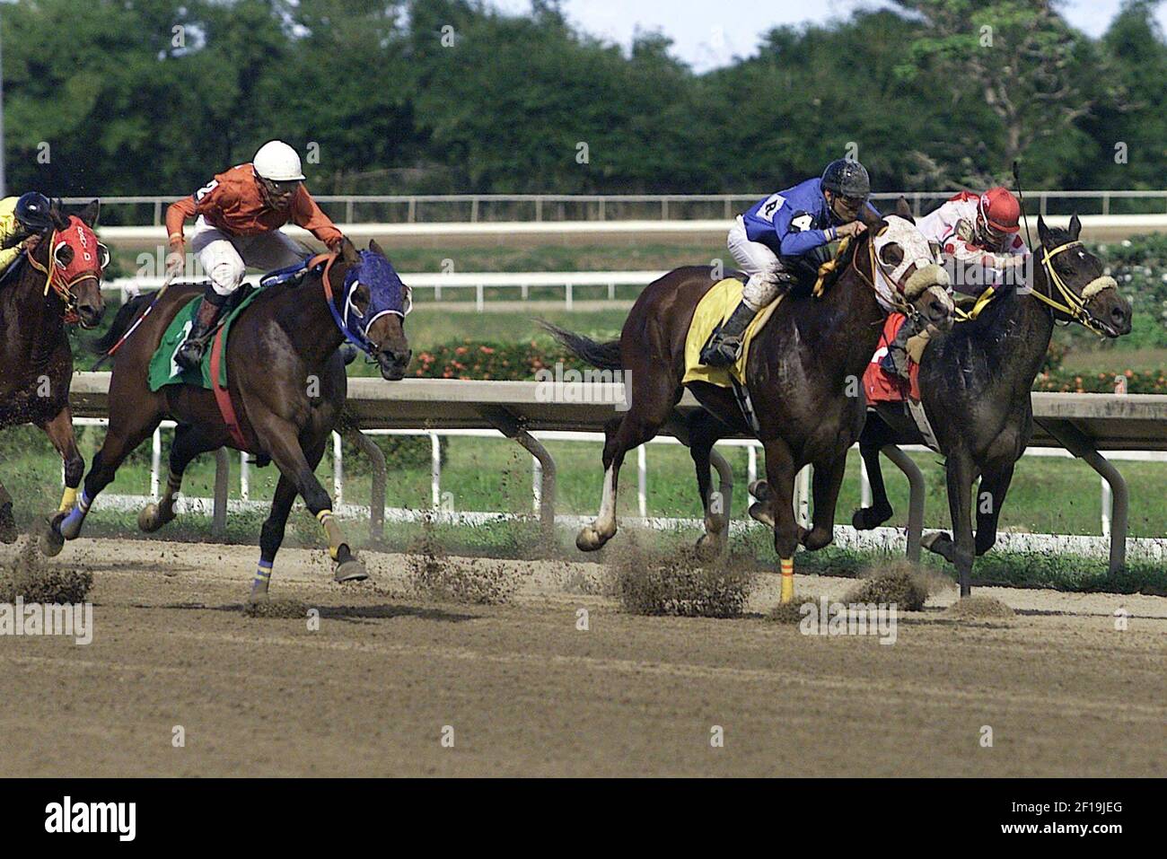 KRT US NEWS STORY SLUGGED: PUERTORICO-HORSERACING KRT PHOTOGRAPH BY ...