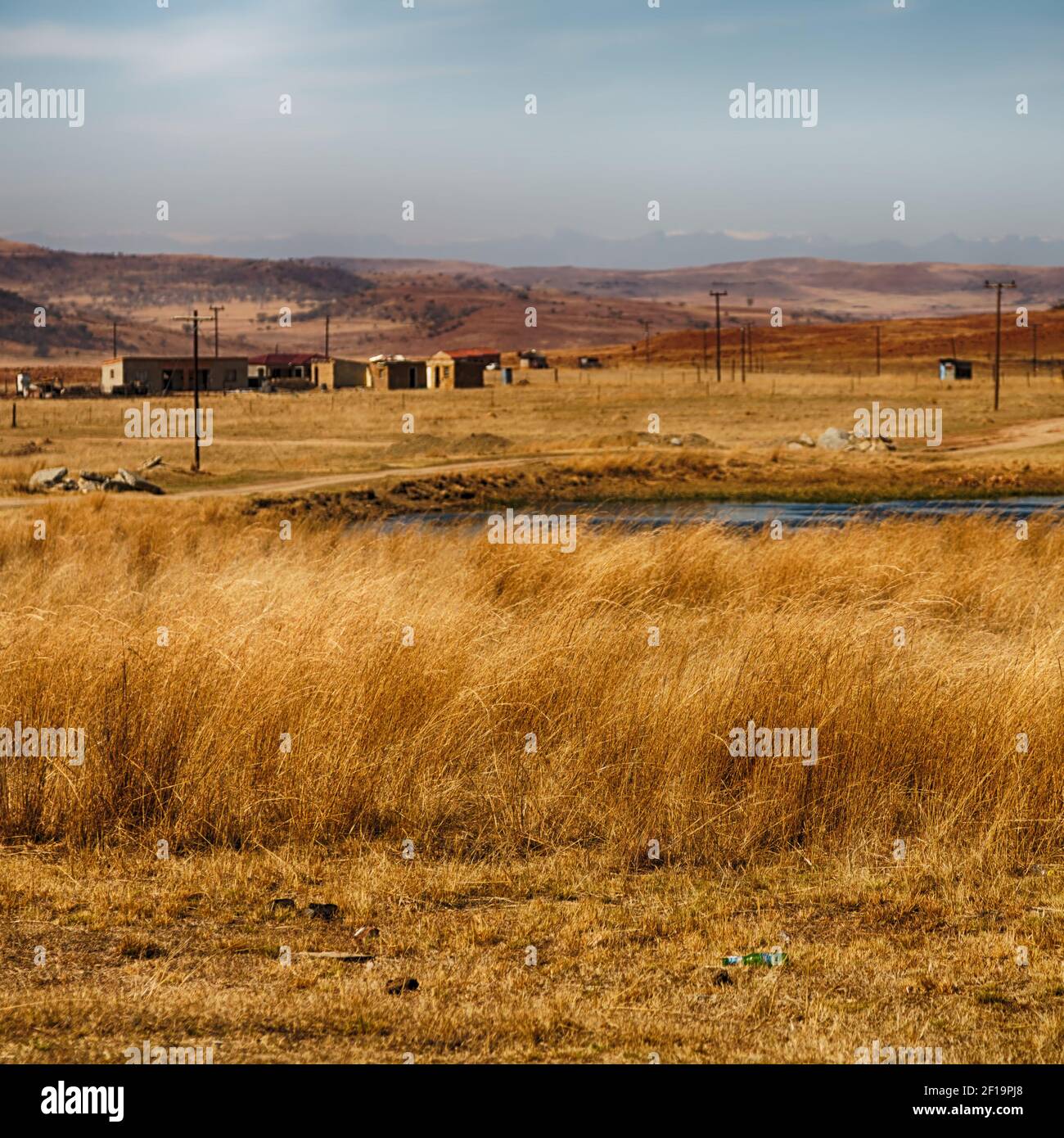 Lesotho cow hi-res stock photography and images - Alamy