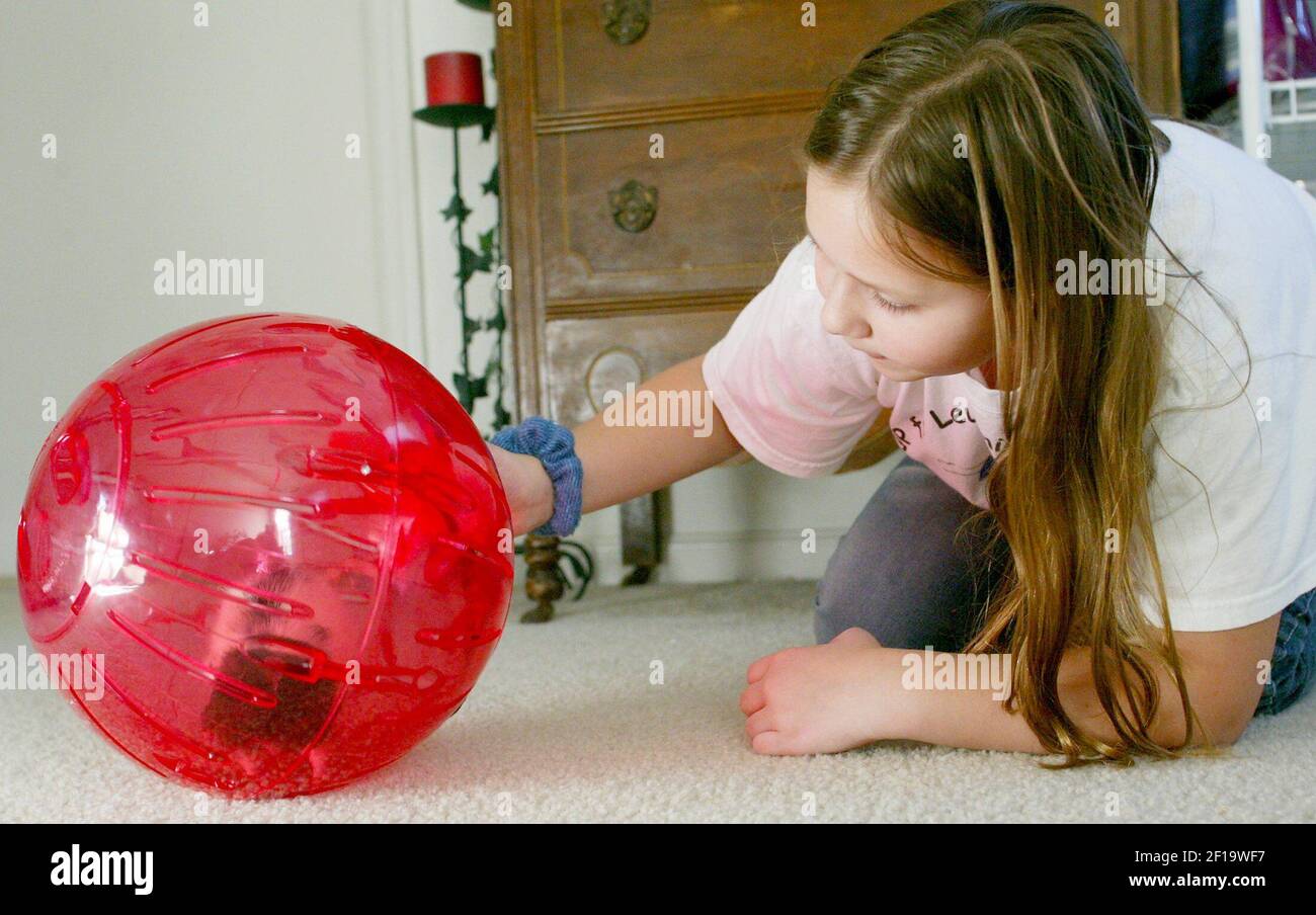 Human hamster ball hi-res stock photography and images - Alamy
