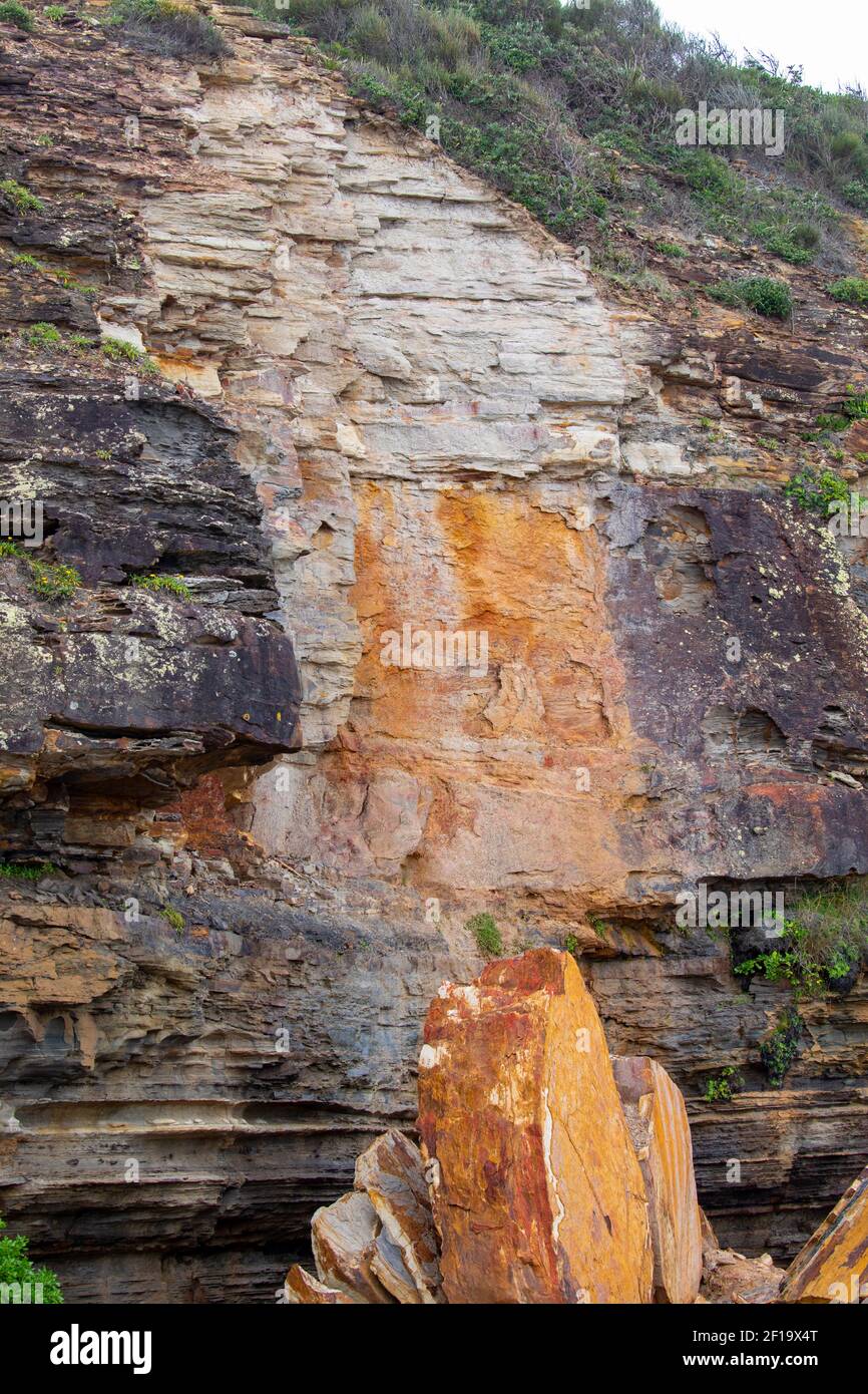 Coastal erosion, falling sandstone rock off cliff edge at Avalon Beach ...