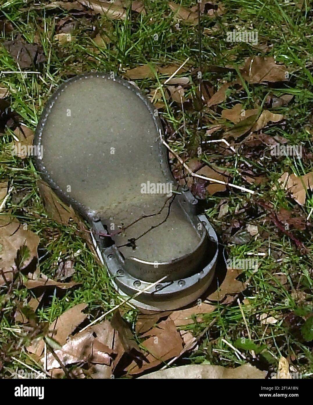 Space Shuttle Columbia Bodies Recovered