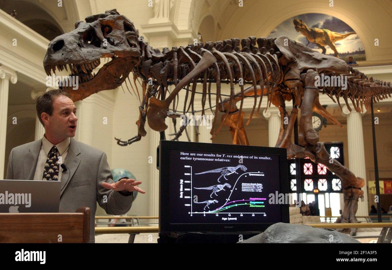 Field museum chicago trex hi-res stock photography and images - Alamy