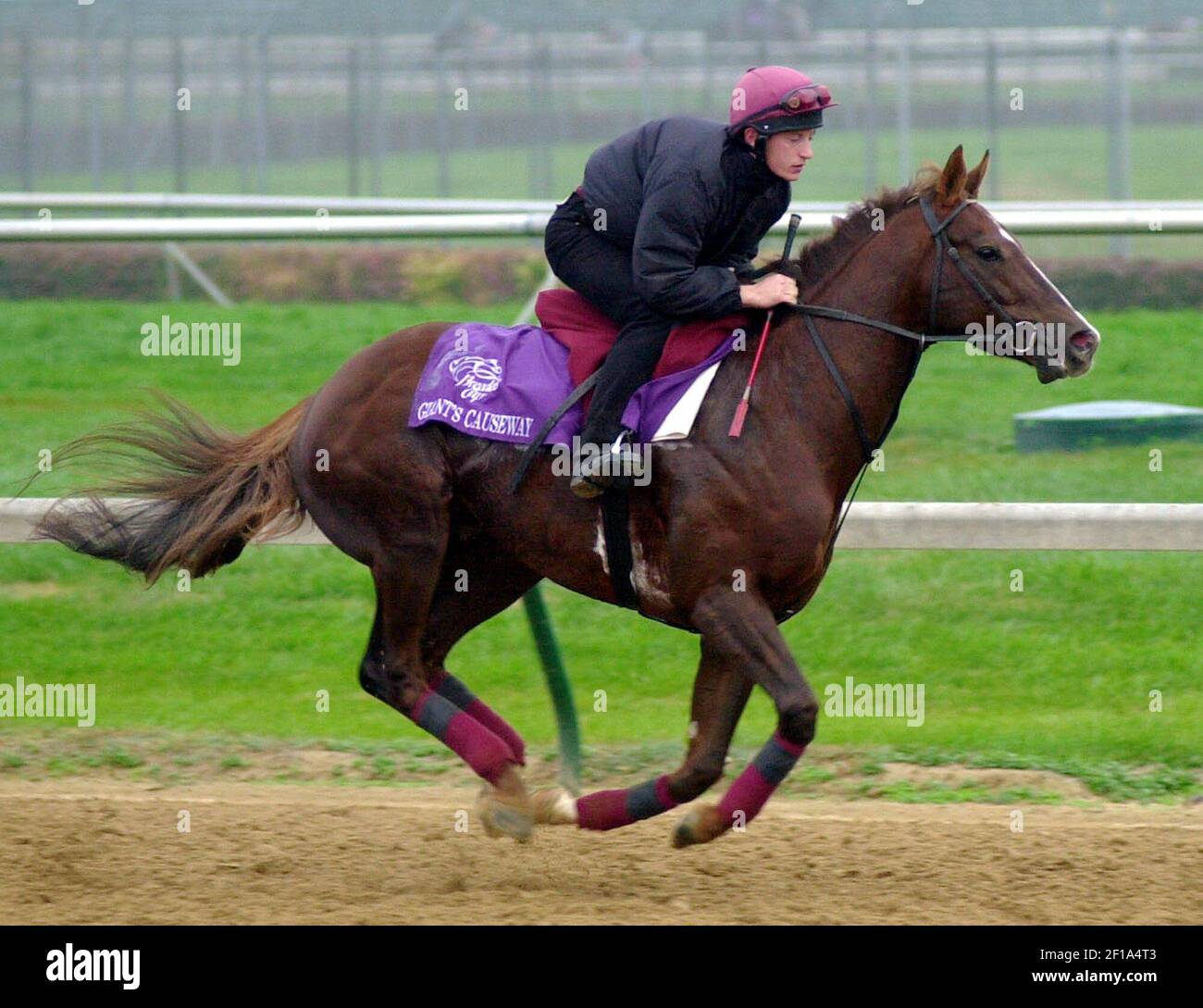 KRT SPORTS STORY SLUGGED: BREEDERSCUP KRT PHOTOGRAPH BY FRANK ANDERSON ...