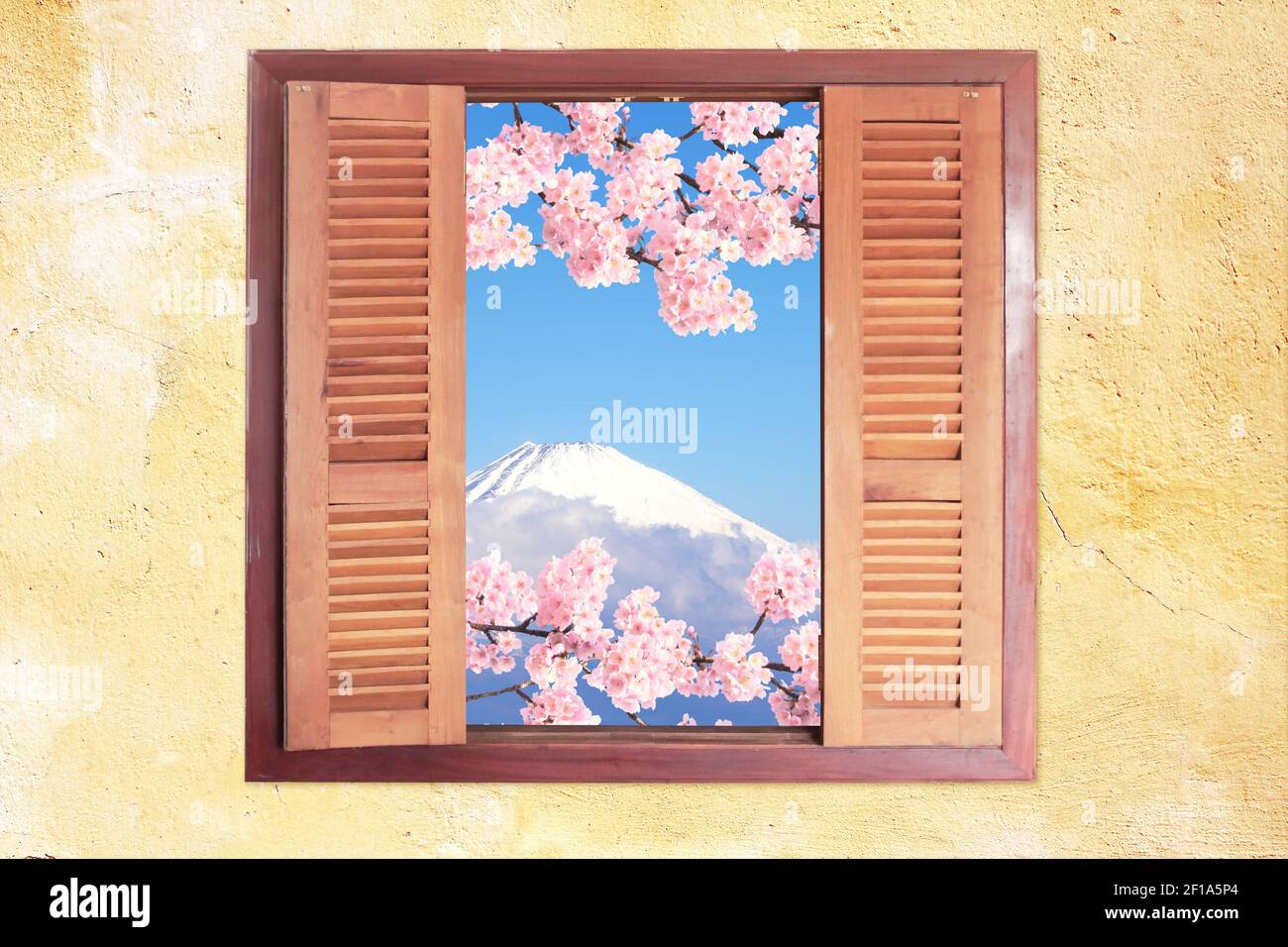 View of Mount Fuji (Fujiyama) and branch of the blossoming sakura ...