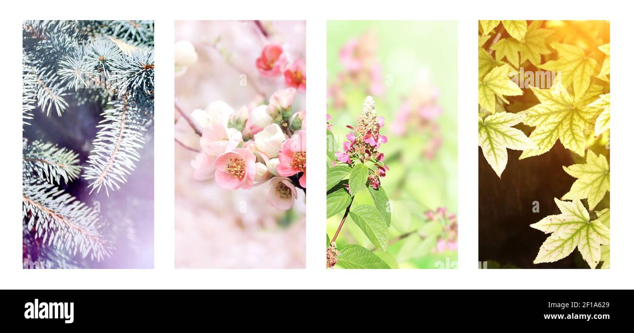 Four seasons of year. Set of vertical nature banners with winter ...
