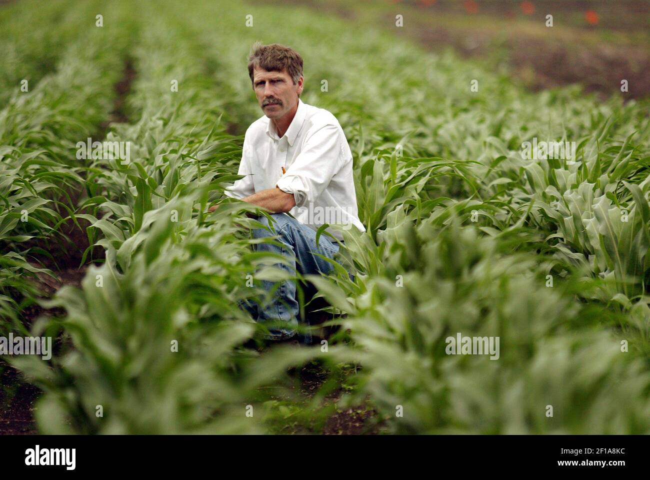 -- NO MAGS, NO SALES -- KRT BUSINESS STORY SLUGGED: WRK-ENTOMOLOGY KRT ...