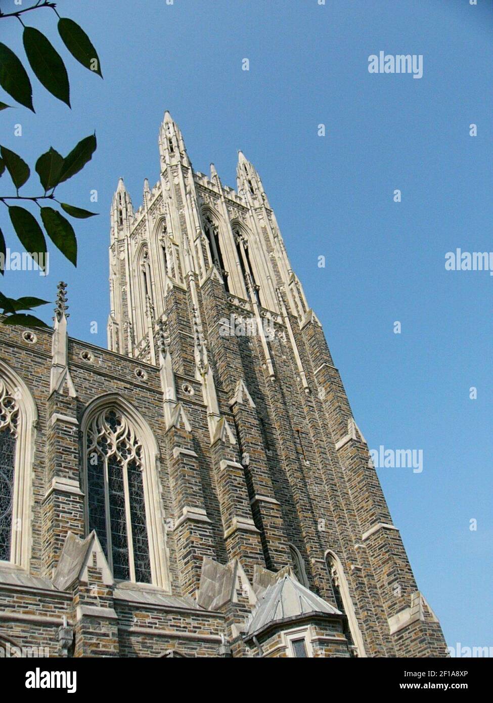 KRT TRAVEL STORY SLUGGED: UST-DUKE KRT PHOTOGRAPH BY JANE WOOLDRIDGE ...