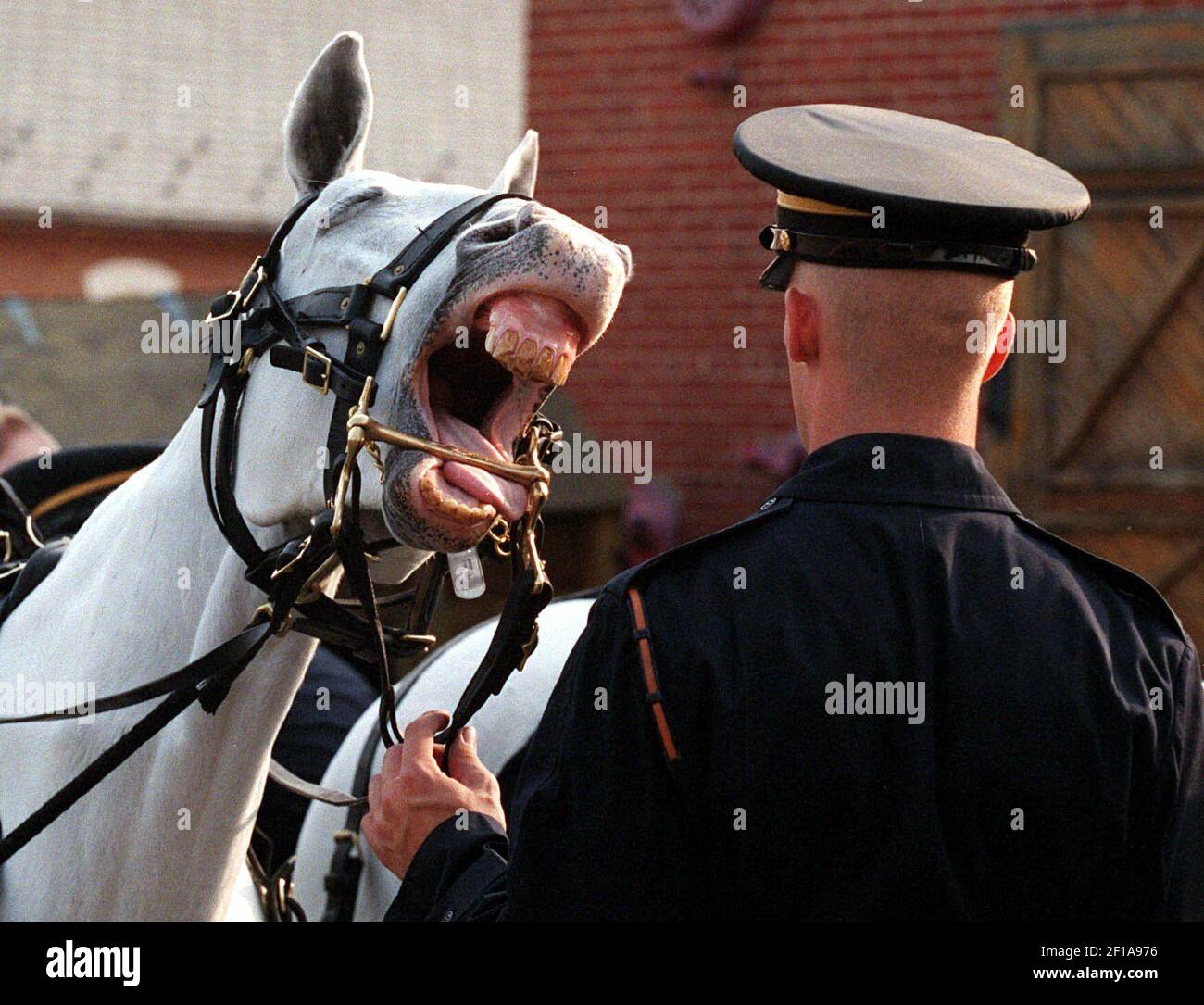 FOR USE AS DESIRED KRT PHOTO PROJECT SLUGGED: CAISSON KRT PHOTOGRAPH BY ...