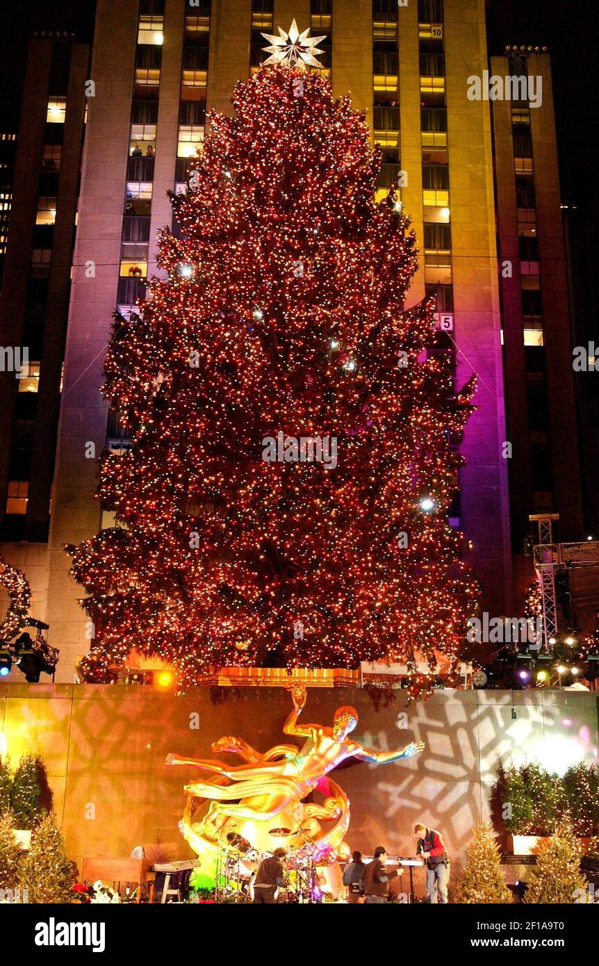 Abaca tree hi-res stock photography and images - Alamy