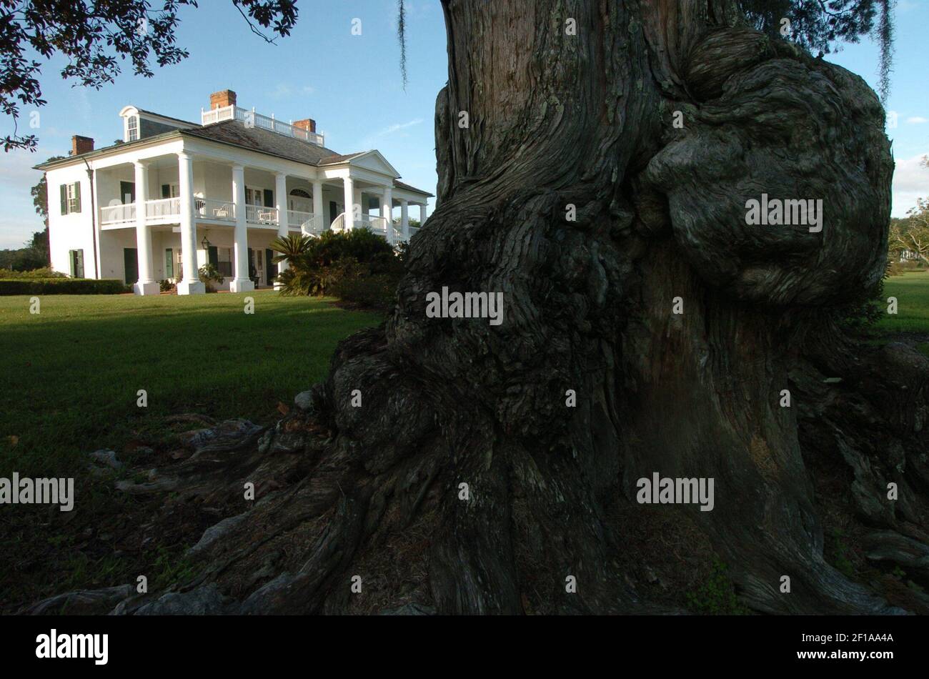 KRT TRAVEL STORY SLUGGED: UST-PLANTATIONS KRT PHOTOGRAPH BY NANCY STONE ...