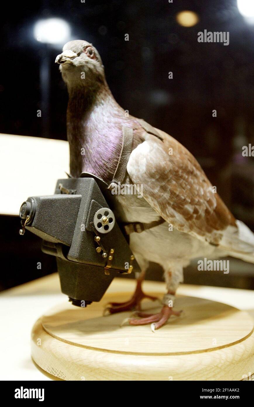 KRT LIFESTYLE STORY SLUGGED: SPYMUSEUM KRT PHOTOGRAPH BY CHUCK KENNEDY ...