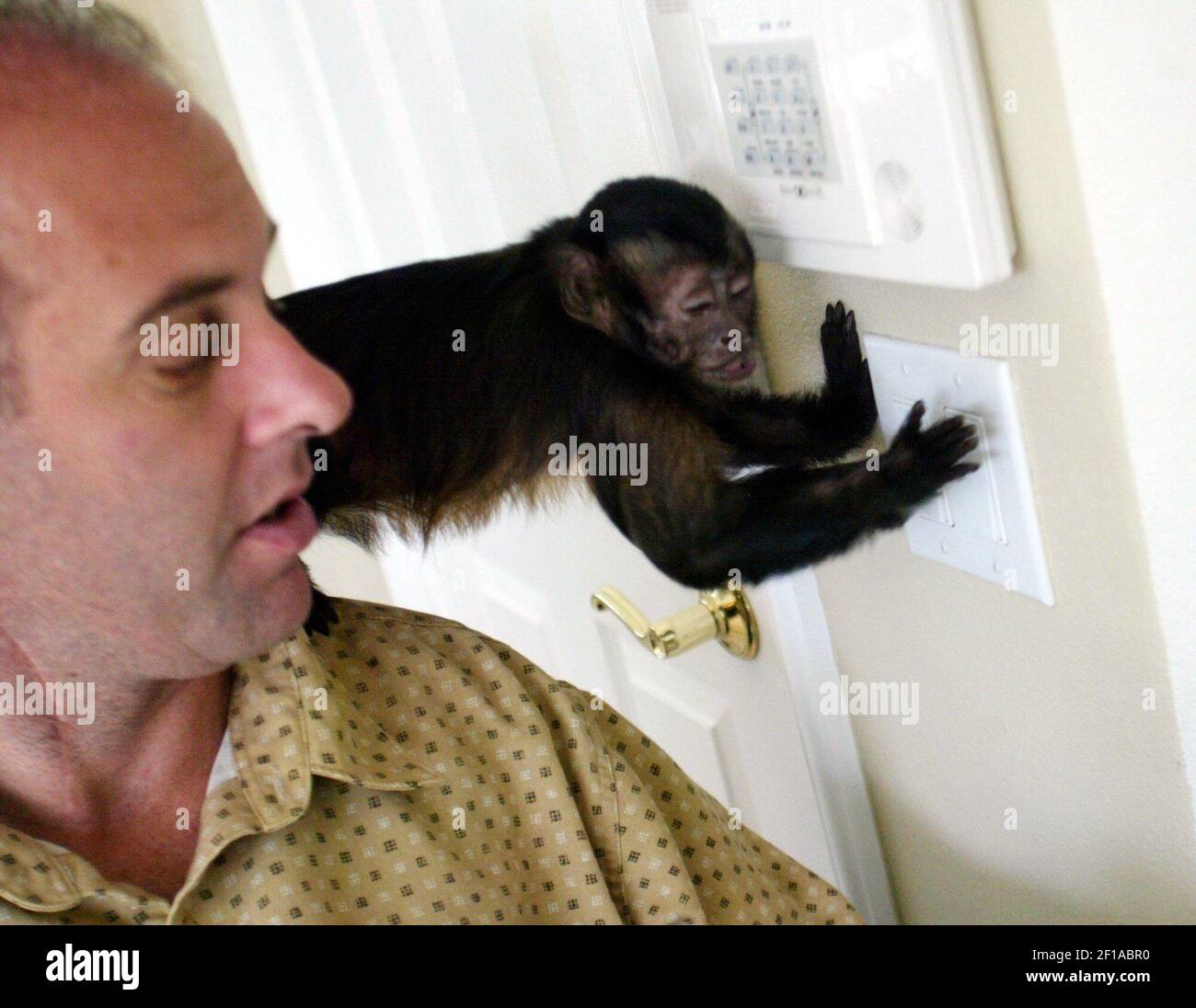 -- NO MAGS, NO SALES -- KRT US NEWS STORY SLUGGED: MED-HELPERMONKEY KRT ...