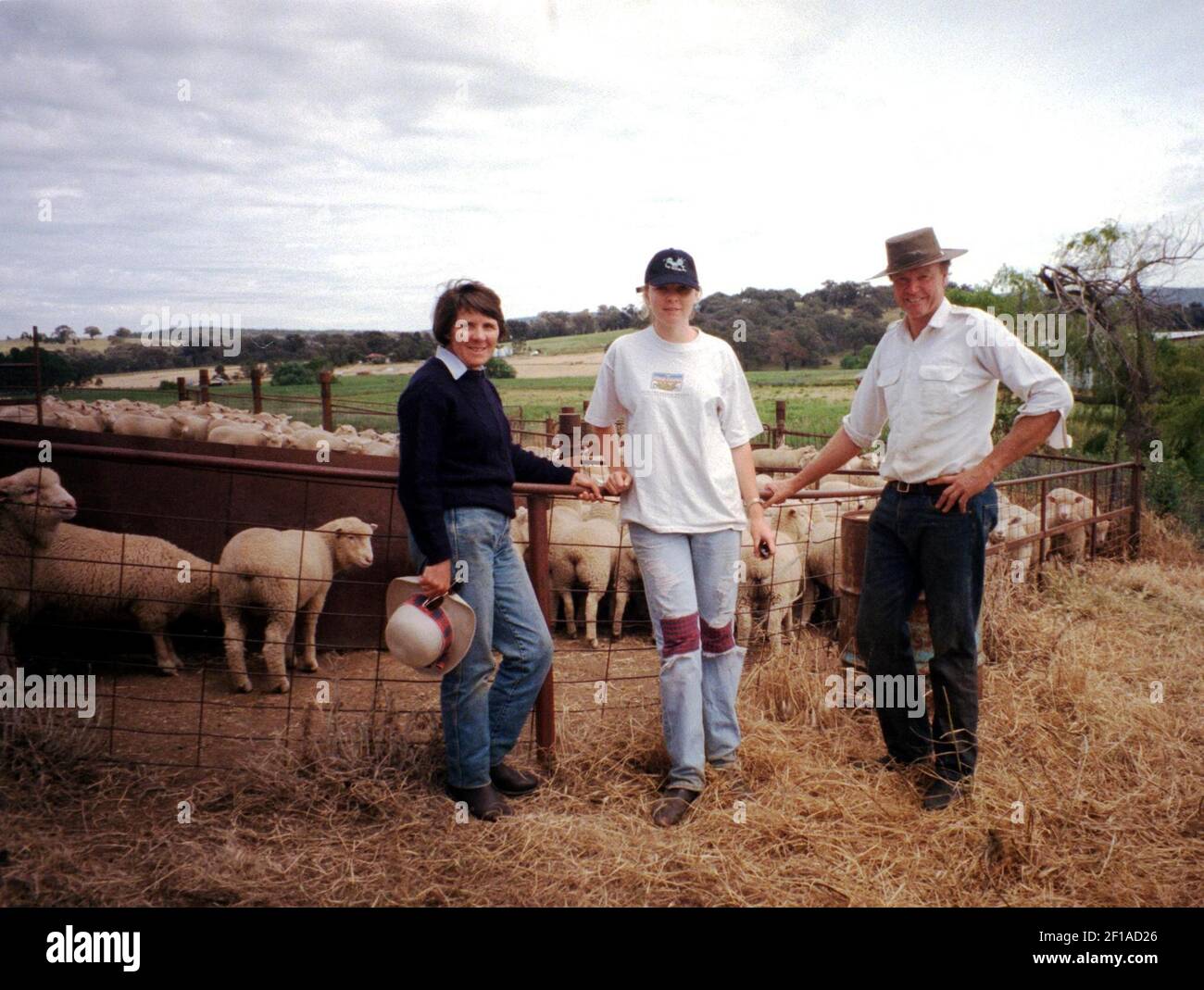 KRT WORLD NEWS STORY SLUGGED: WKEND-SHEEP KRT PHOTO BY GREGG JONES ...