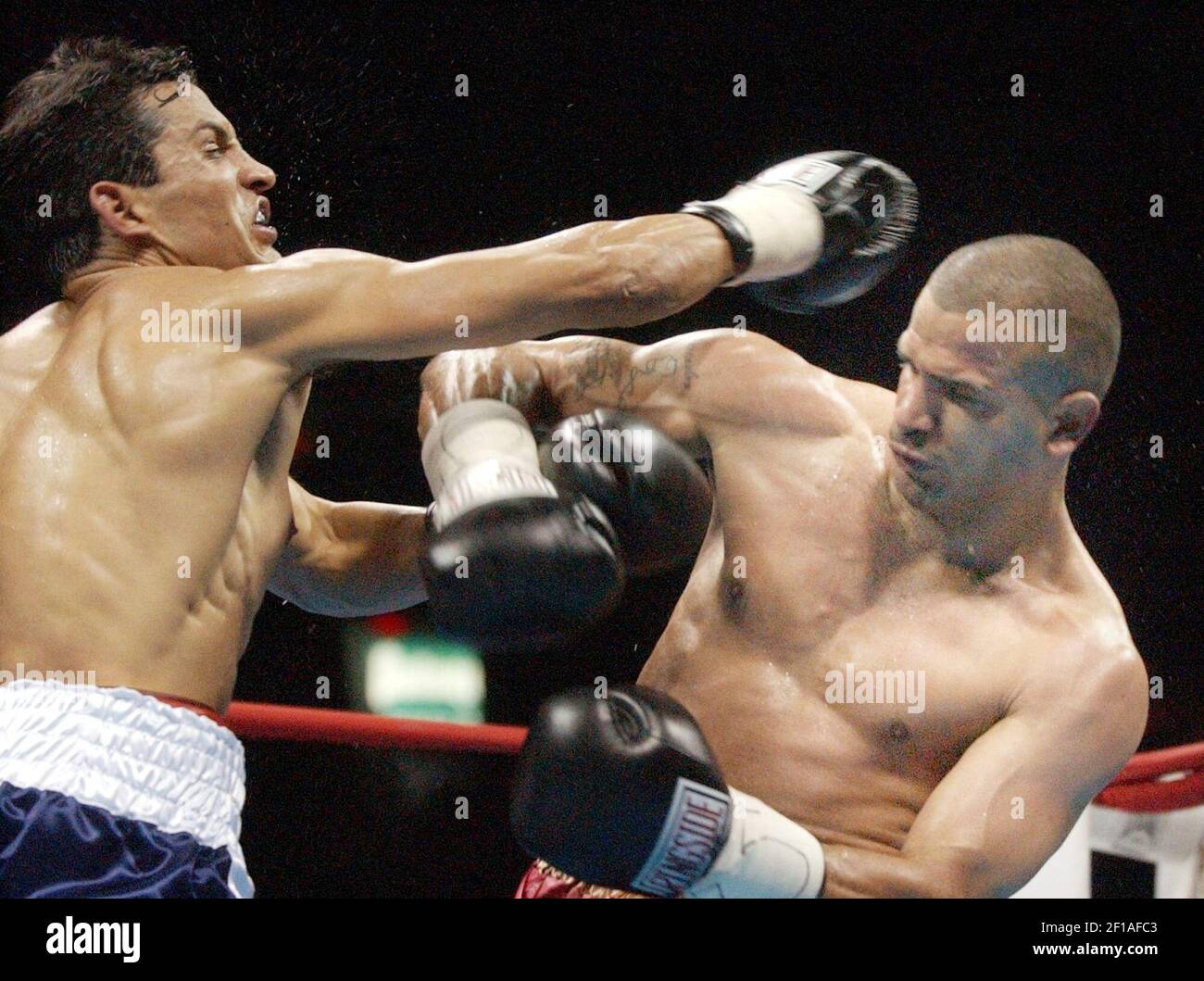 KRT SPORTS STORY SLUGGED FIGHT KRT PHOTO BY RON CORTES/PHILADELPHIA ...