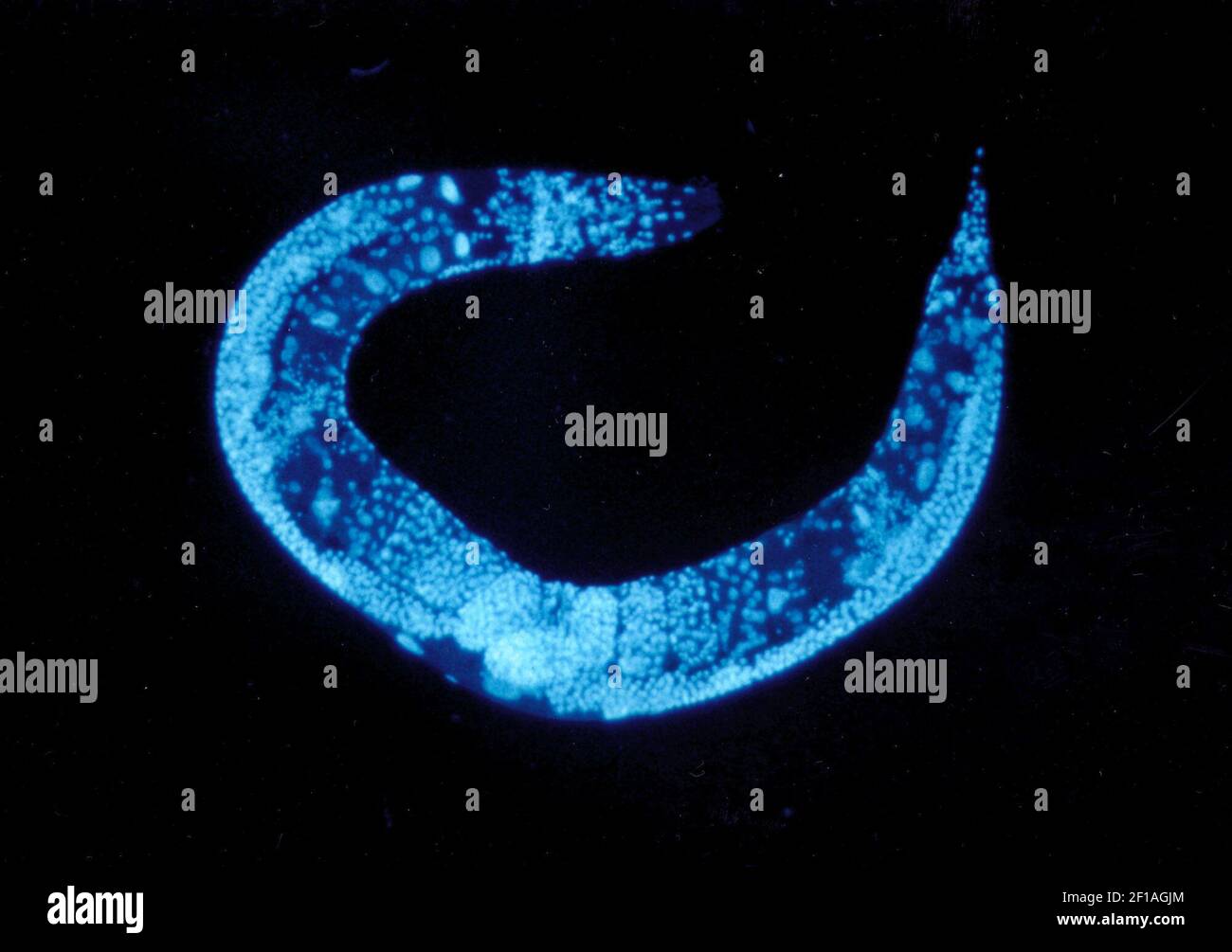 Story mapping image hi-res stock photography and images - Alamy