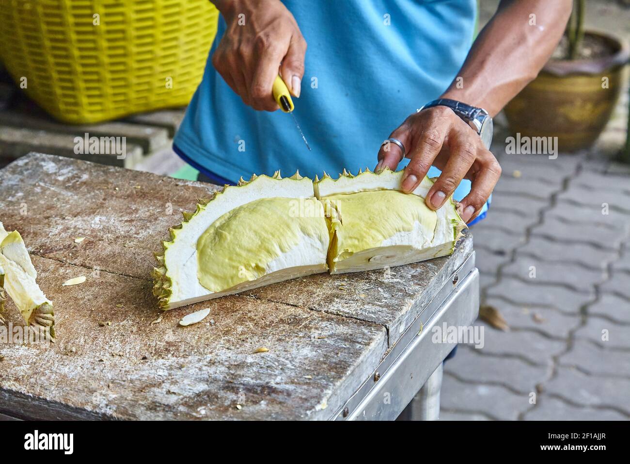 Durian farm malaysia hi-res stock photography and images - Alamy