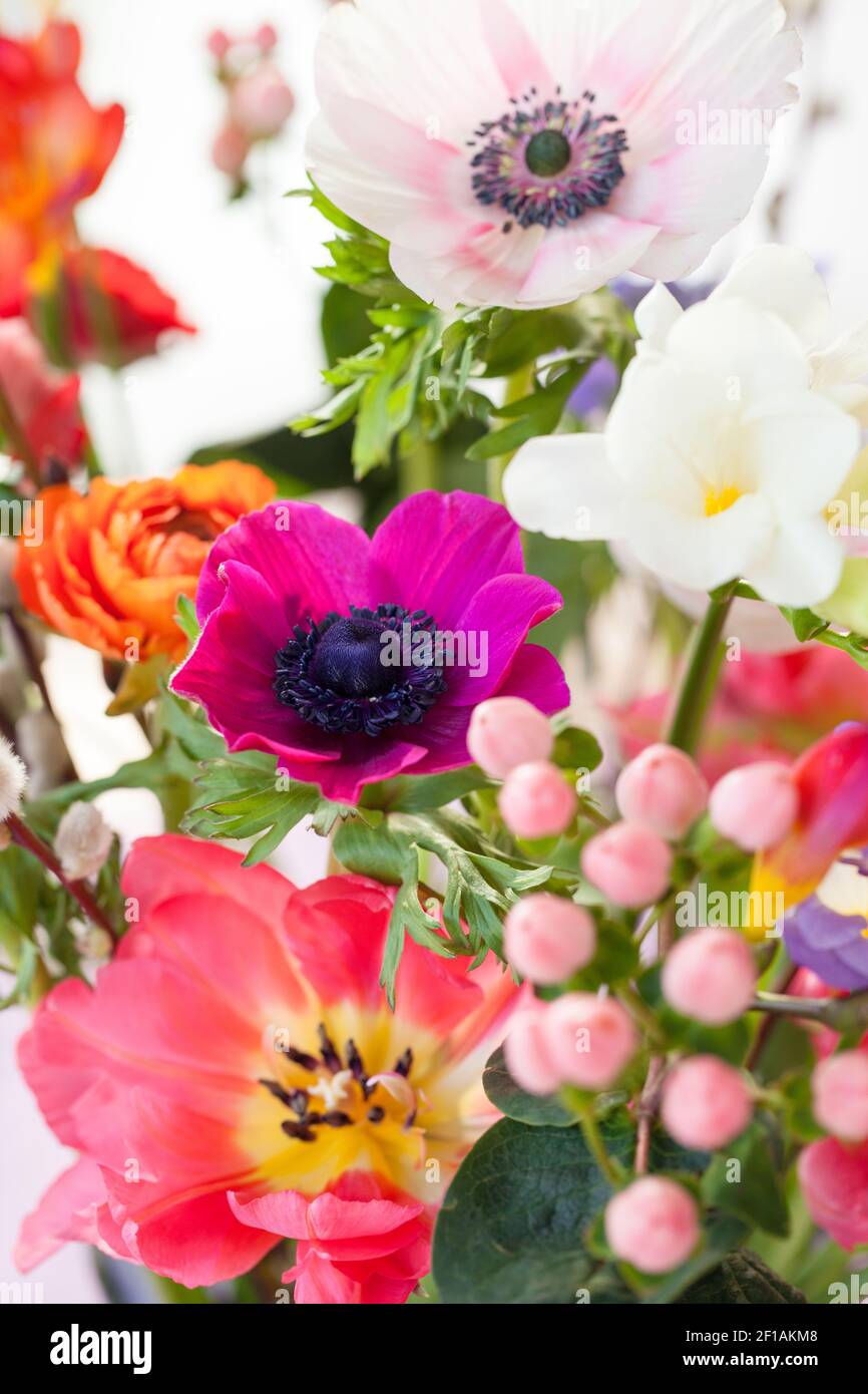 Colorful spring flowers Stock Photo - Alamy