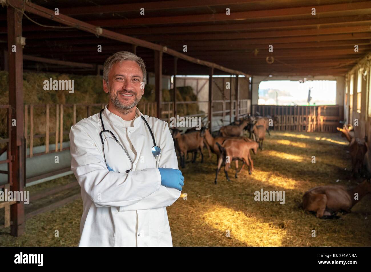 Happy Senior Vet Doctor in White Uniform and Blue Medical Gloves ...