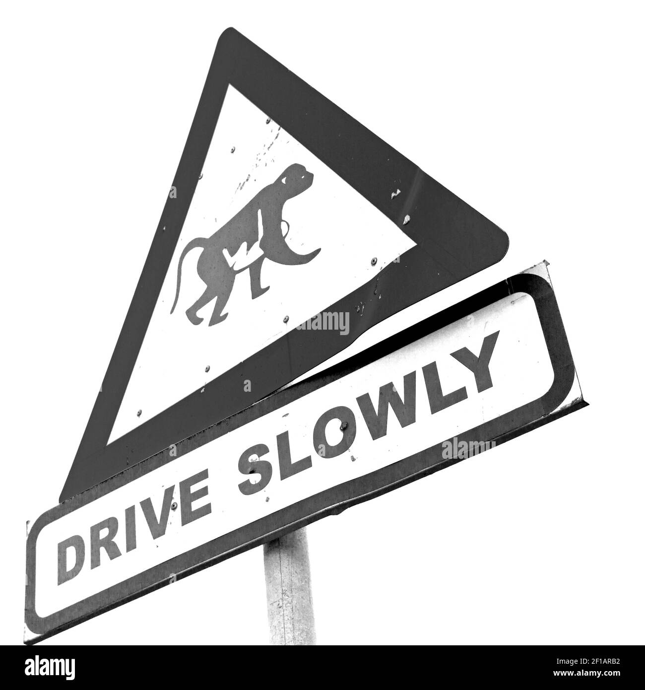 Monkey crossing sign hi-res stock photography and images - Alamy