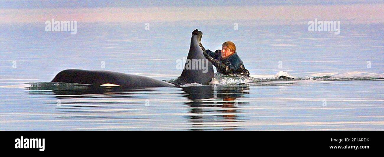 KRT STAND-ALONE PHOTO - KRT PHOTOGRAPH BY HARLEY SOLTES/SEATTLE TIMES ...