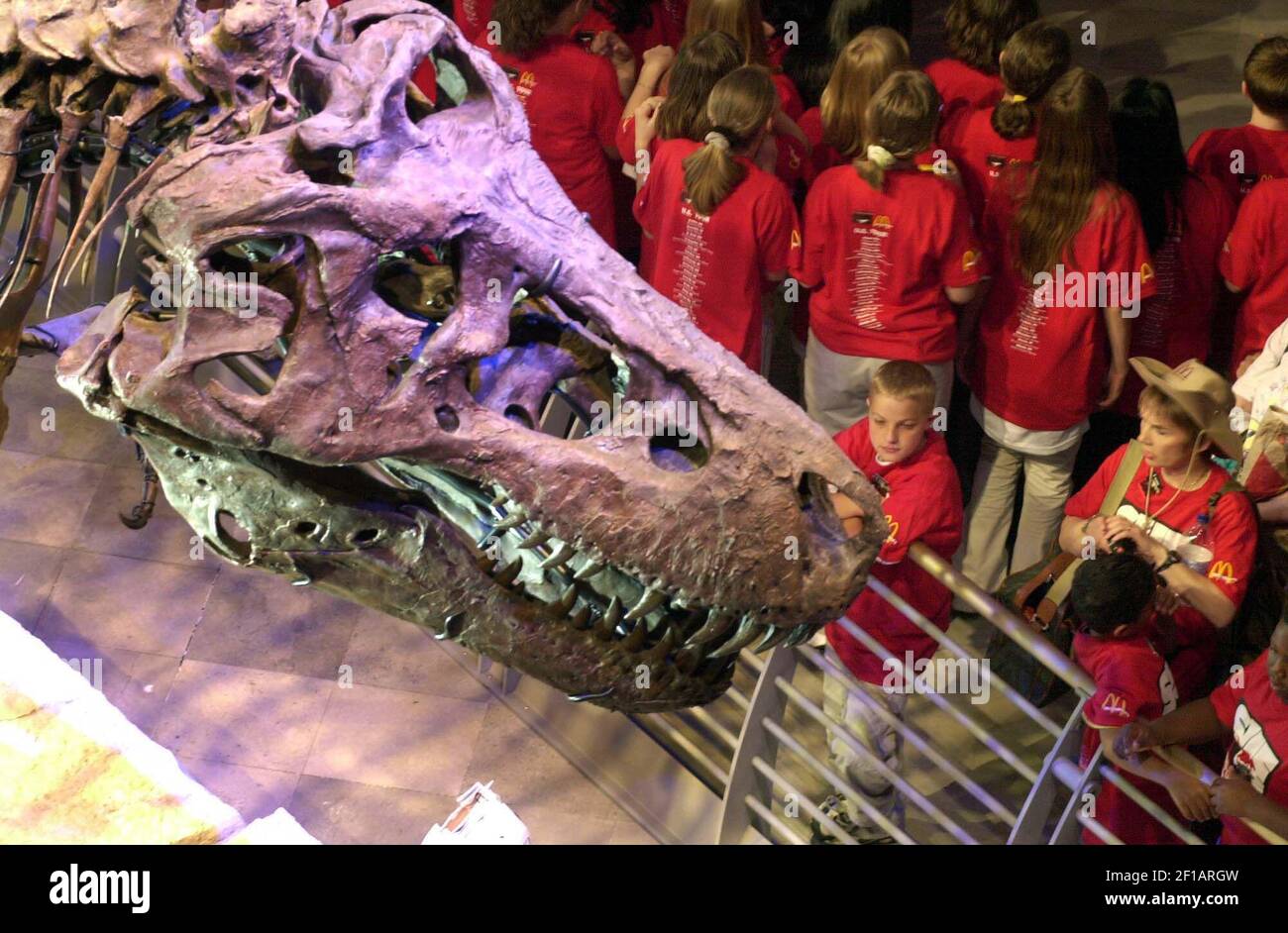 KRT US NEWS STORY SLUGGED: DINOSAUR KRT PHOTOGRAPH BY PHIL VELASQUEZ ...
