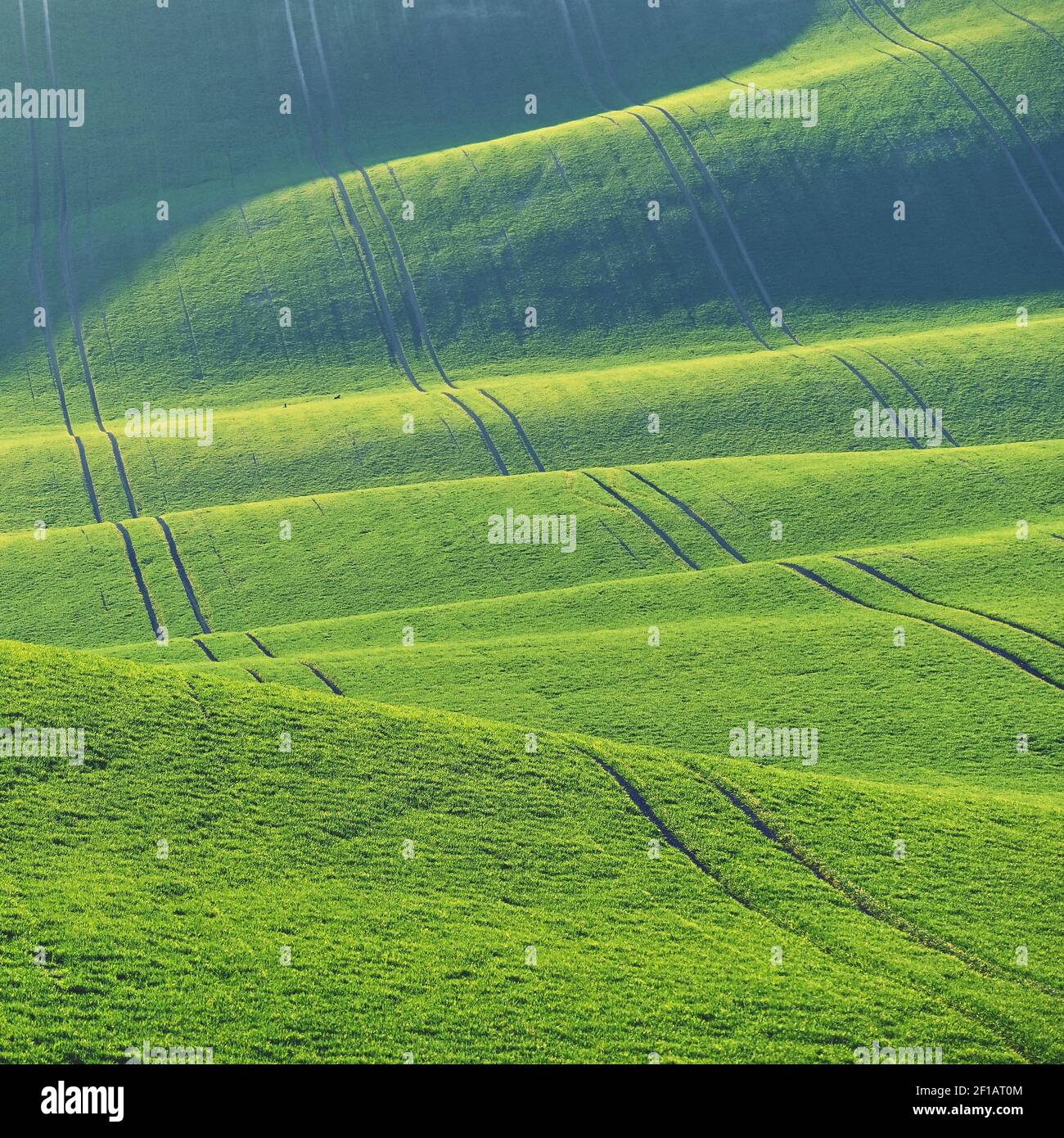 Field waves hi-res stock photography and images - Alamy
