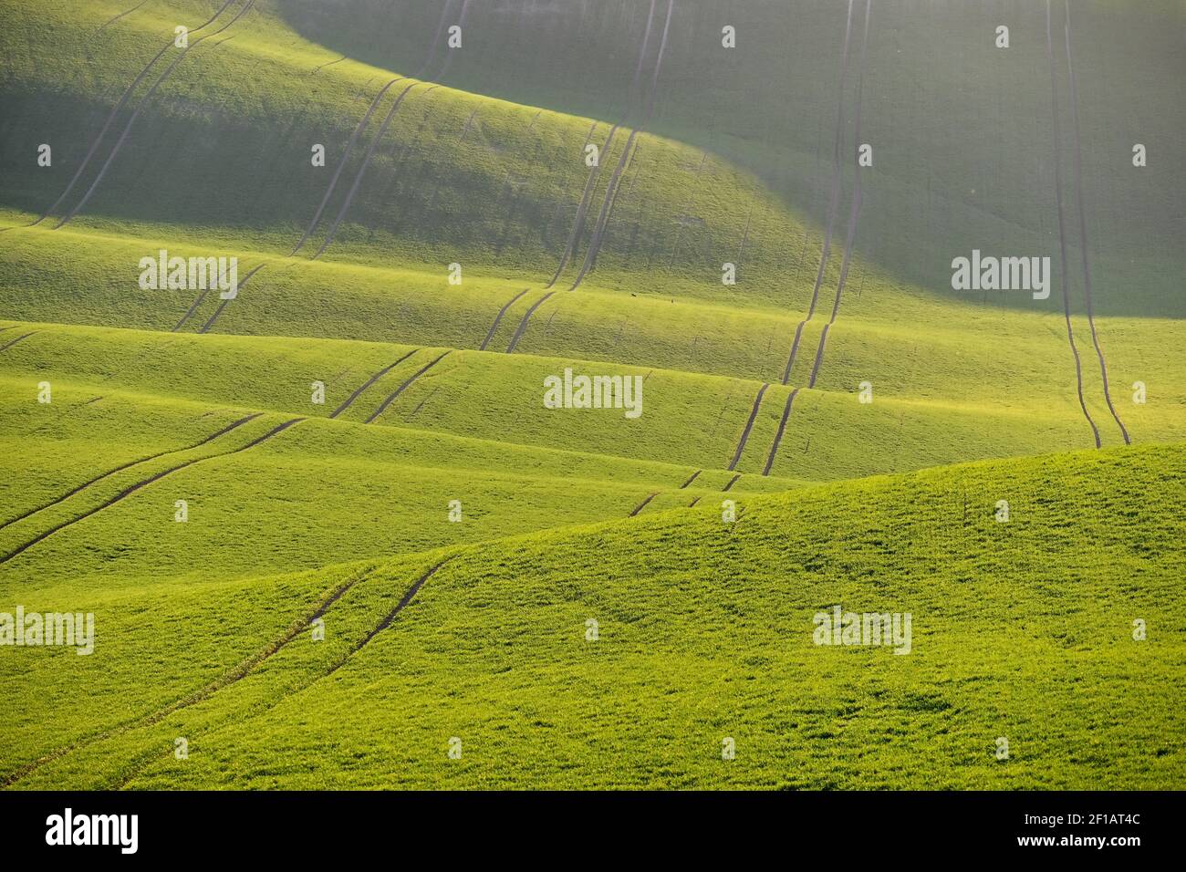 Beautiful spring landscape with green field. Waves and hills with grass ...