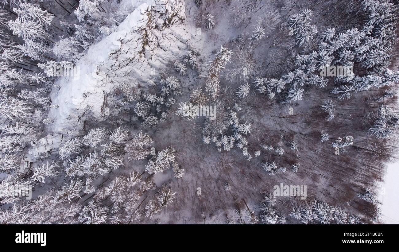 Winter landscape with forest and snow from above from a drone Stock ...
