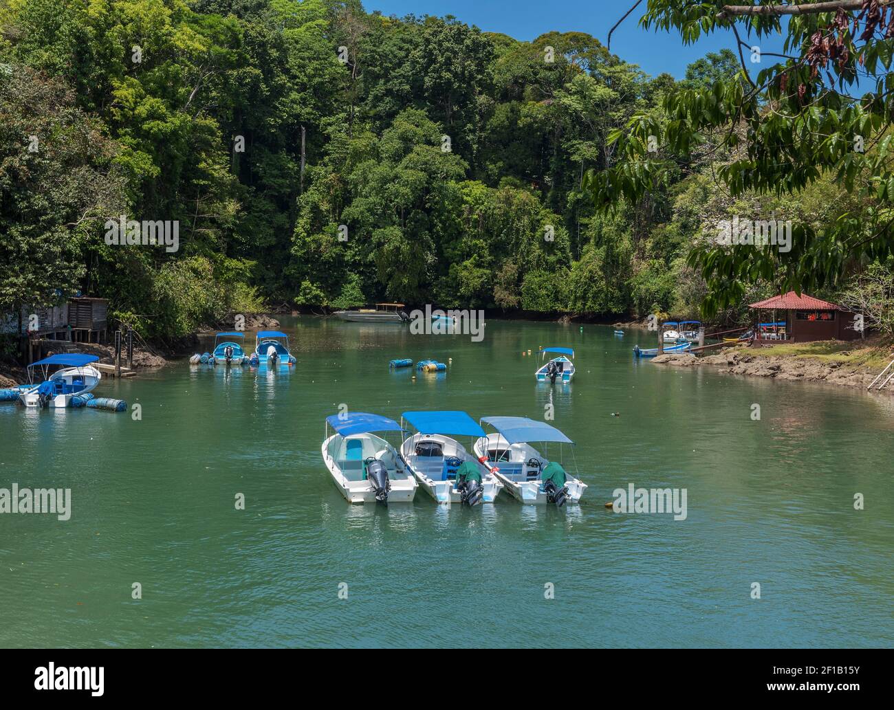 small marina at Drake Bay, Costa Rica Stock Photo - Alamy