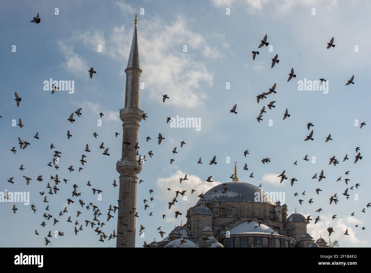 Pigeon flying around the mosque minarets Stock Photo - Alamy