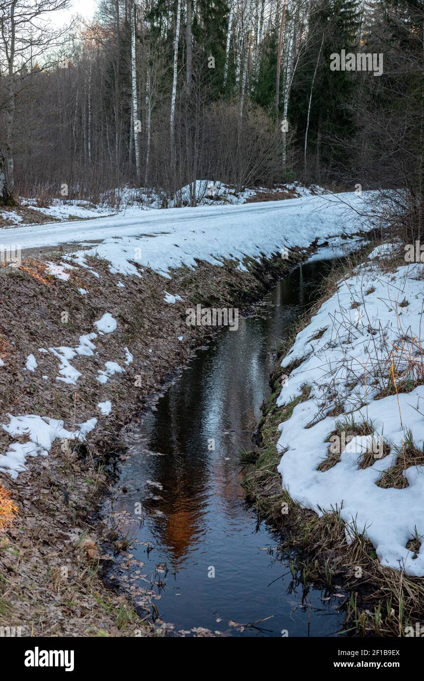 Latvian winter - spring landscape with woodland and ditch in sunset ...