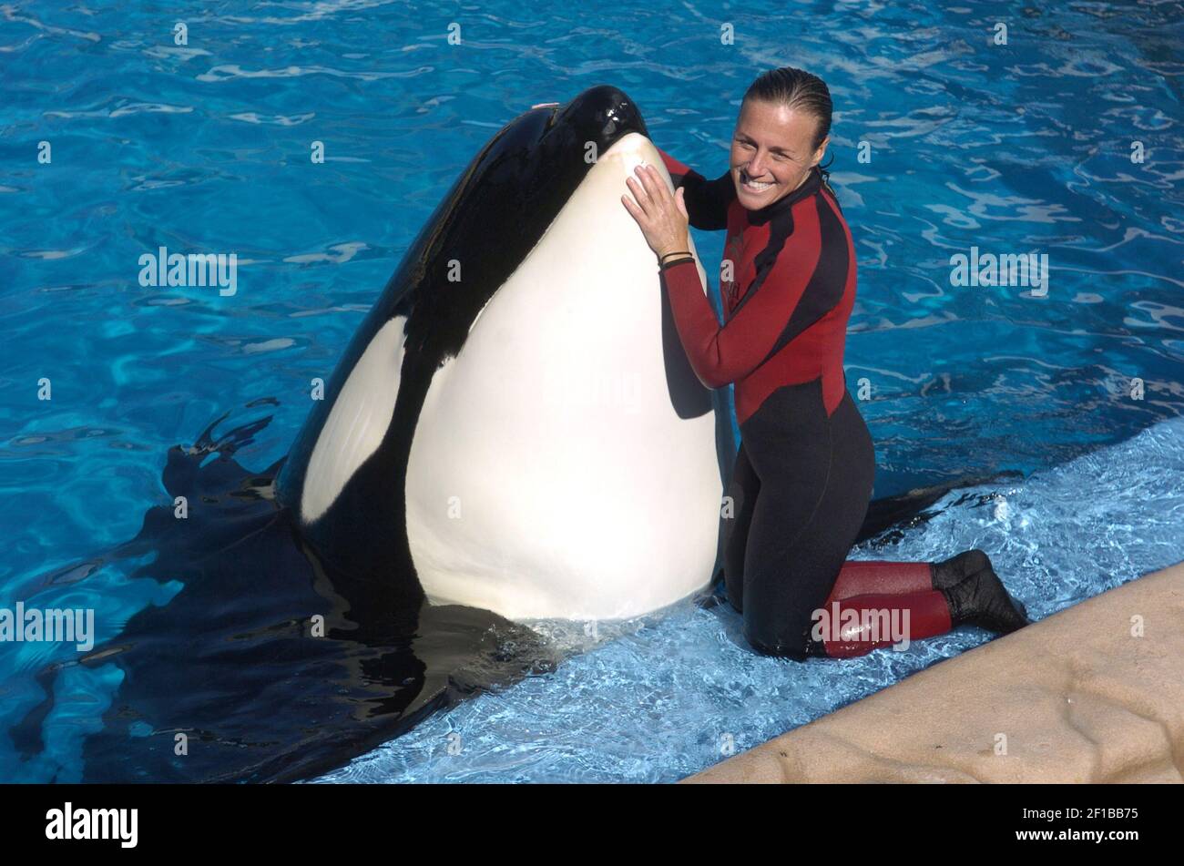 Dawn Brancheau, a whale trainer at SeaWorld Adventure Park, shown ...
