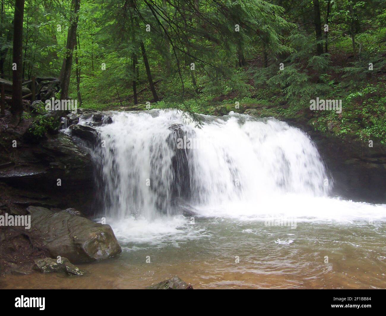 Pretty DeBord Falls tumbled 12 feet in a hemlock-shaded ravine in ...