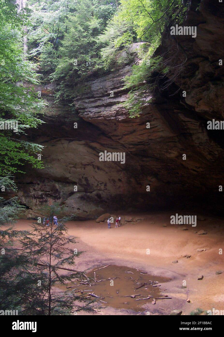 Ash Cave, a 700-foot rock face with a 100-foot-deep recess, lies ...