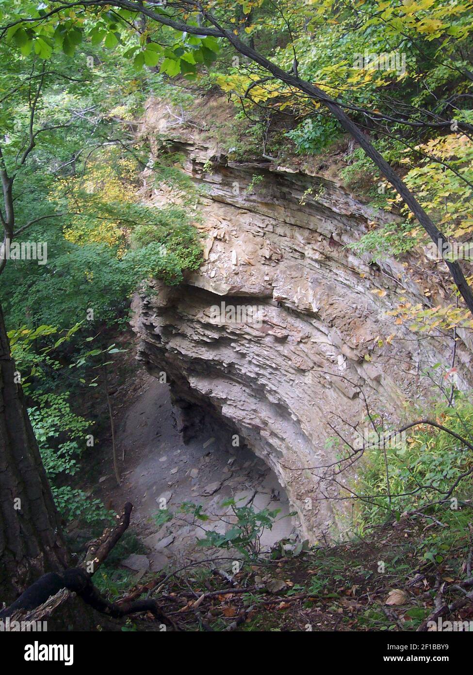 Sandstone cliffs dominate the scenery in the Buzzard Roost Nature ...