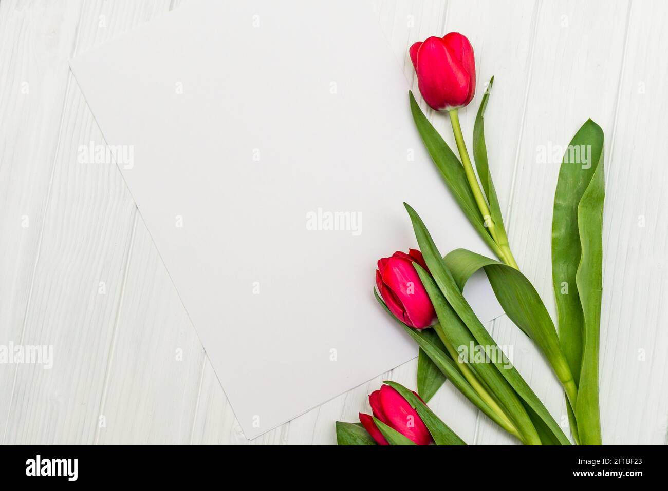 Bouquet white tulips empty hi-res stock photography and images - Alamy