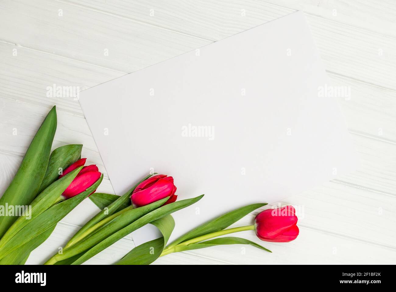 Red tulips on a white wooden board Stock Photo - Alamy