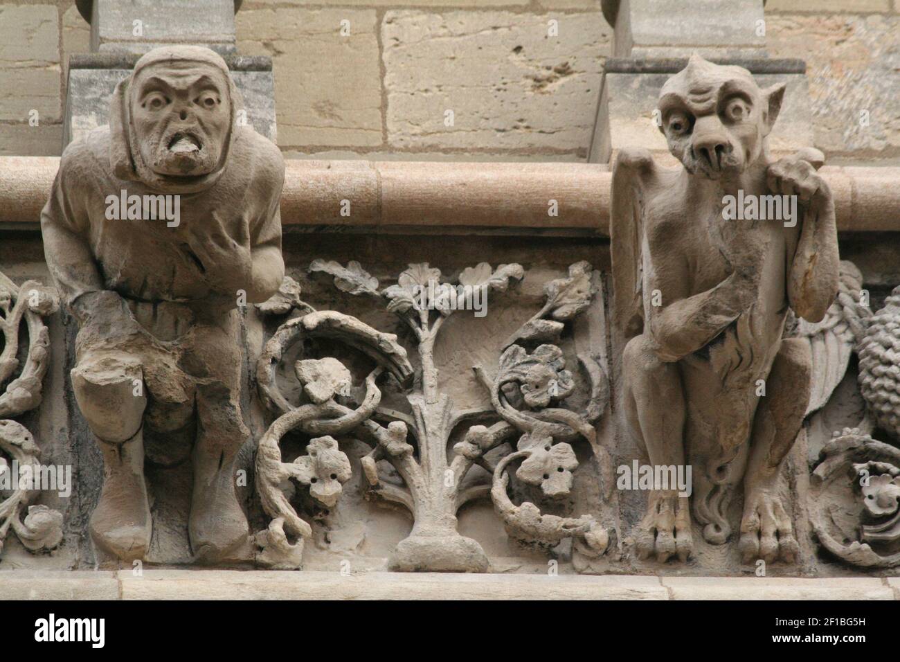Gargoyles stare down from the facade of Notre-Dame in Dijon. (Photo by ...