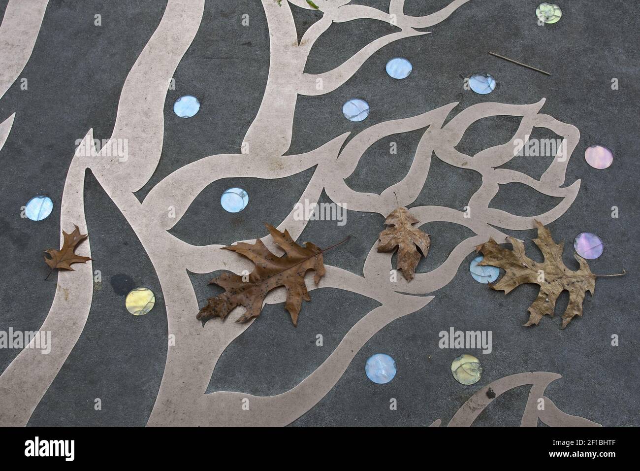 Nature works its way into the artwork embedded in the sidewalks of ...