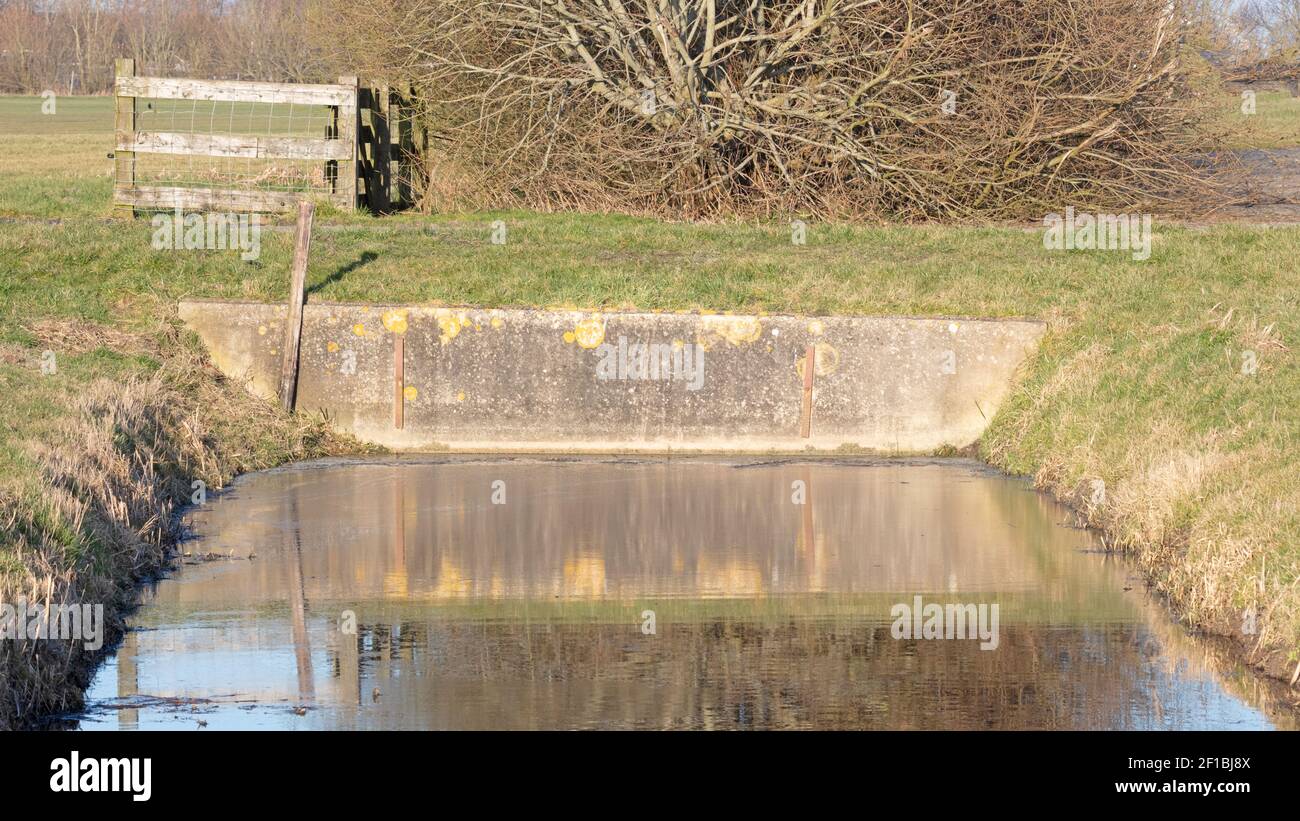 Large ditch in the Netherlands, big concrete border Stock Photo - Alamy