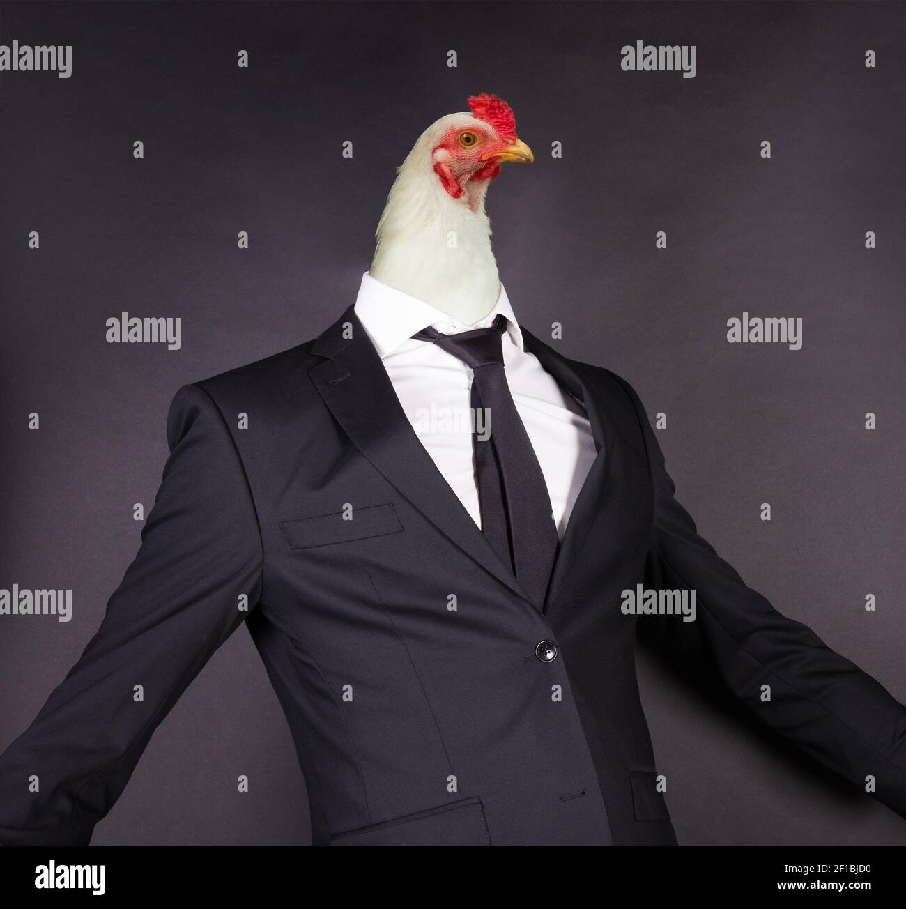Man In A Chicken Suit High Resolution Stock Photography and Images - Alamy
